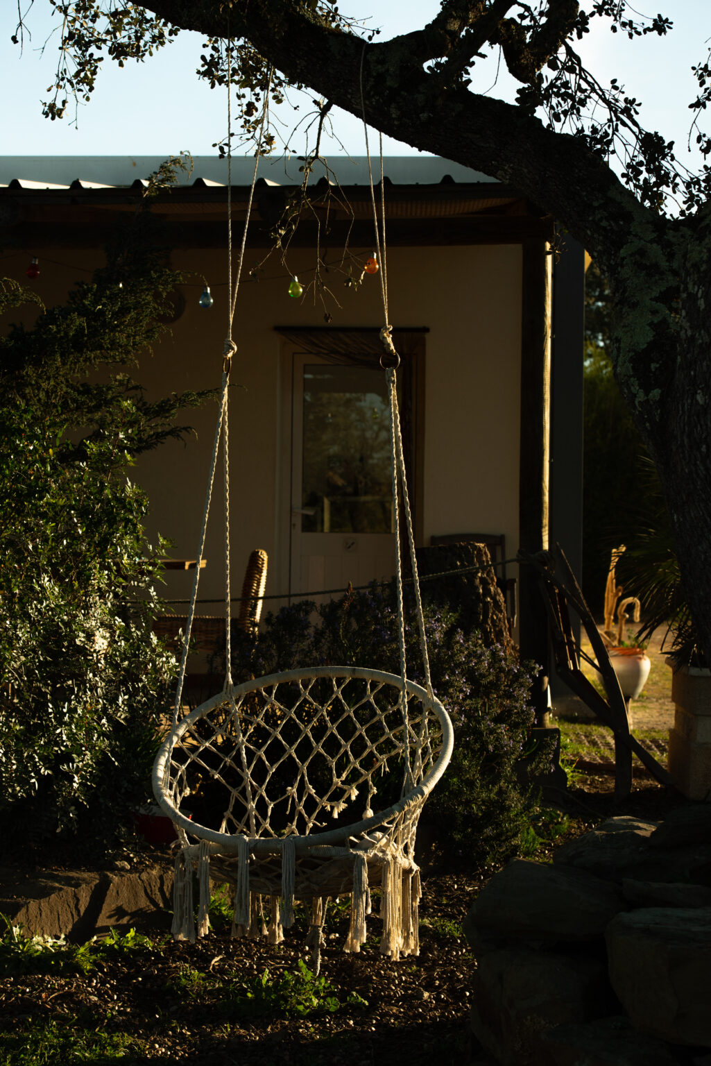 Gallery – Equus Ourique