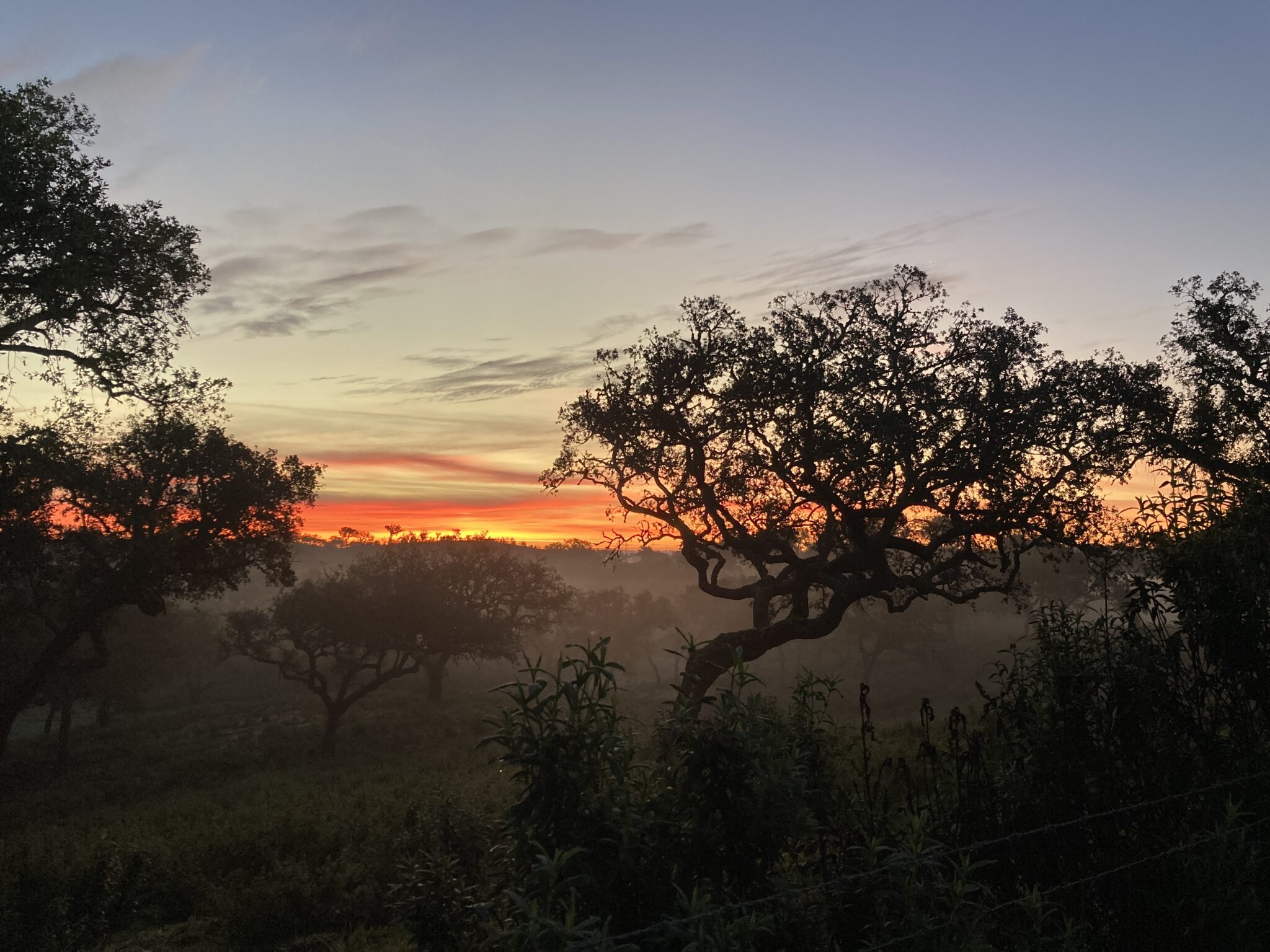 Contact Us – Equus Ourique