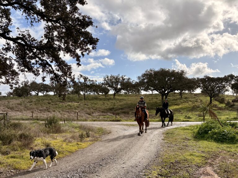 Trail riding season – Equus Ourique